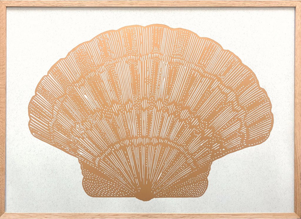 Musling-Seashell Gold/Sand | Beauton Art Gallery